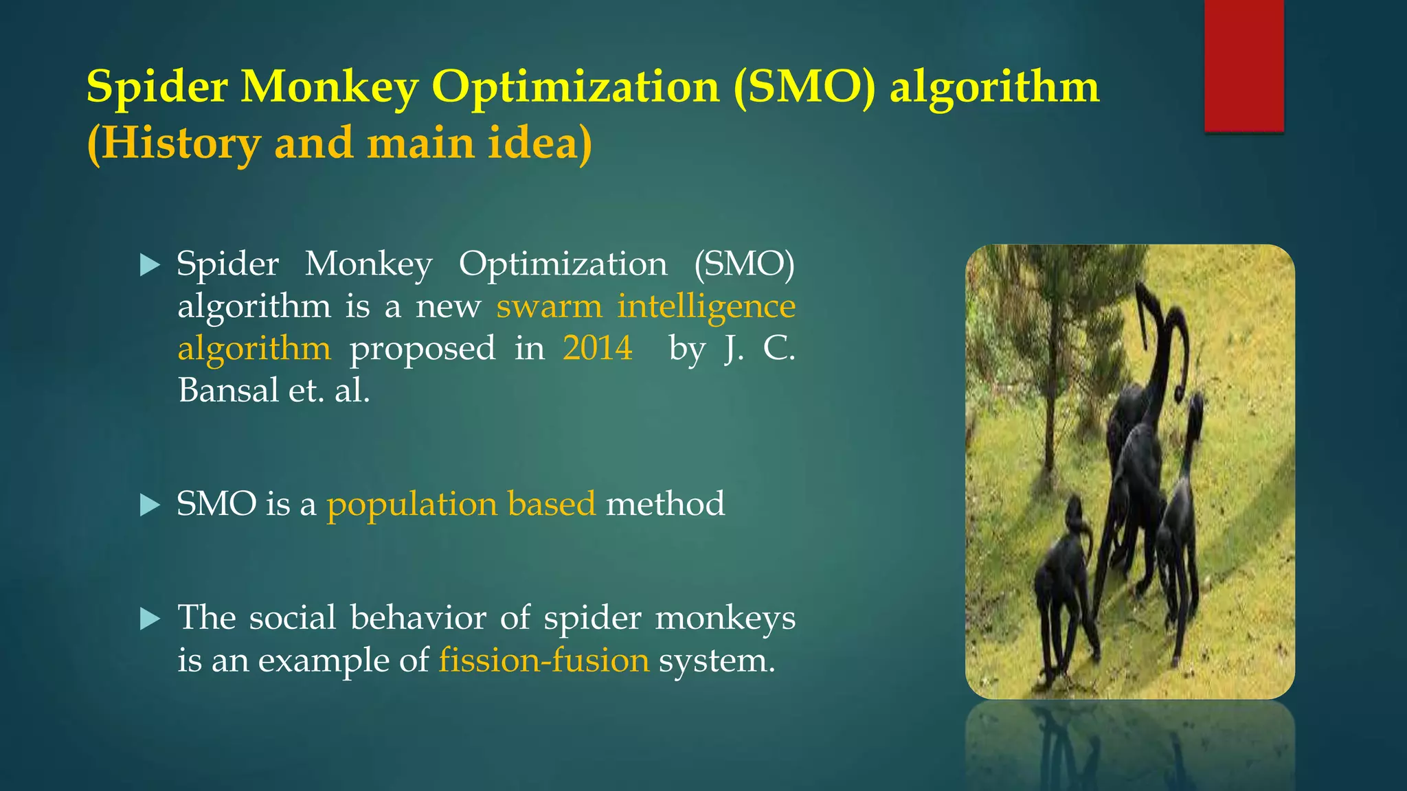 Spider Monkey Optimization Algorithm | PPT Spider Monkey Optimization Algorithm | PPT