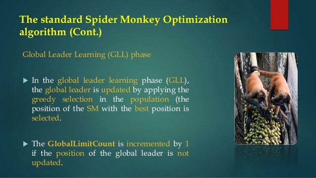 Spider Monkey Optimization Algorithm Spider Monkey Optimization Algorithm