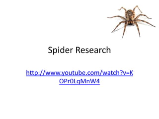 Spider research | PPTX