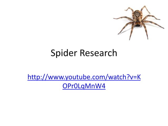 Spider research | PPT