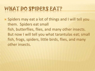 Spiders | PPTX