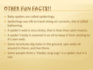 Spiders | PPT
