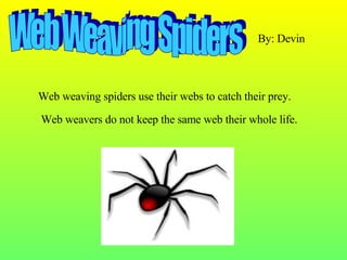 Spiders | PPT
