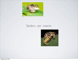Spiders | PPT
