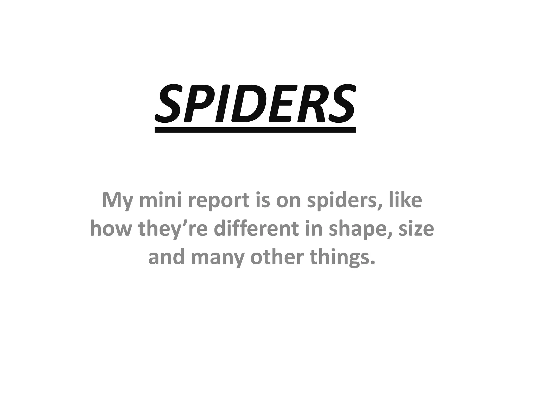 Spiders | PPTX