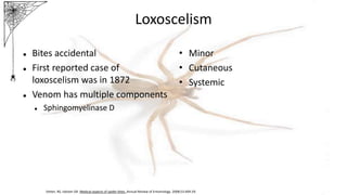Spider Bites that aren't MRSA | PPT