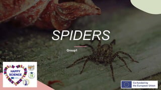 SPIDERS -DIDACTIC MATERIALS ON BIOLOGY LESSONS | PPT