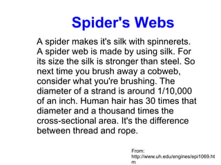 Spiders | PPTX