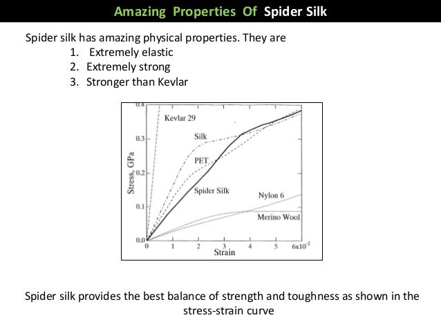 Spider silk
