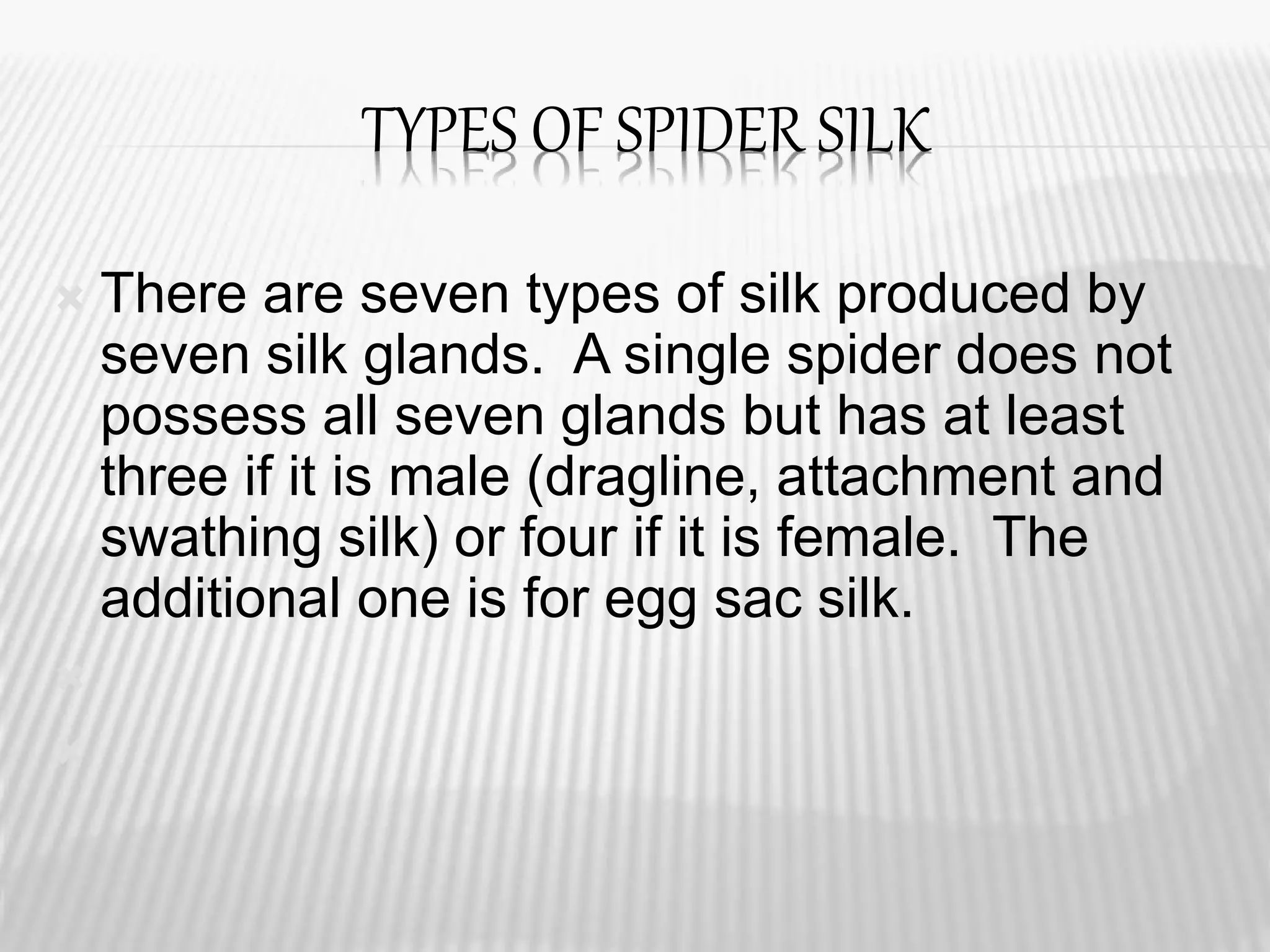 Spider silk | PPTX