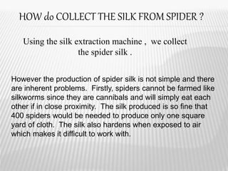 Spider silk | PPTX