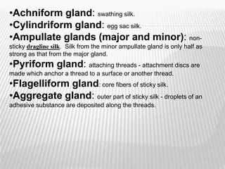 Spider silk | PPTX