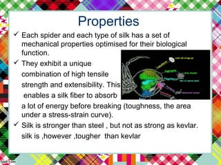 Spider silk | PPT
