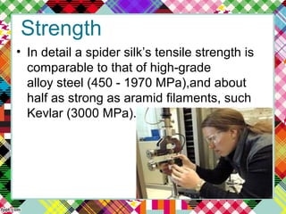 Spider silk | PPT