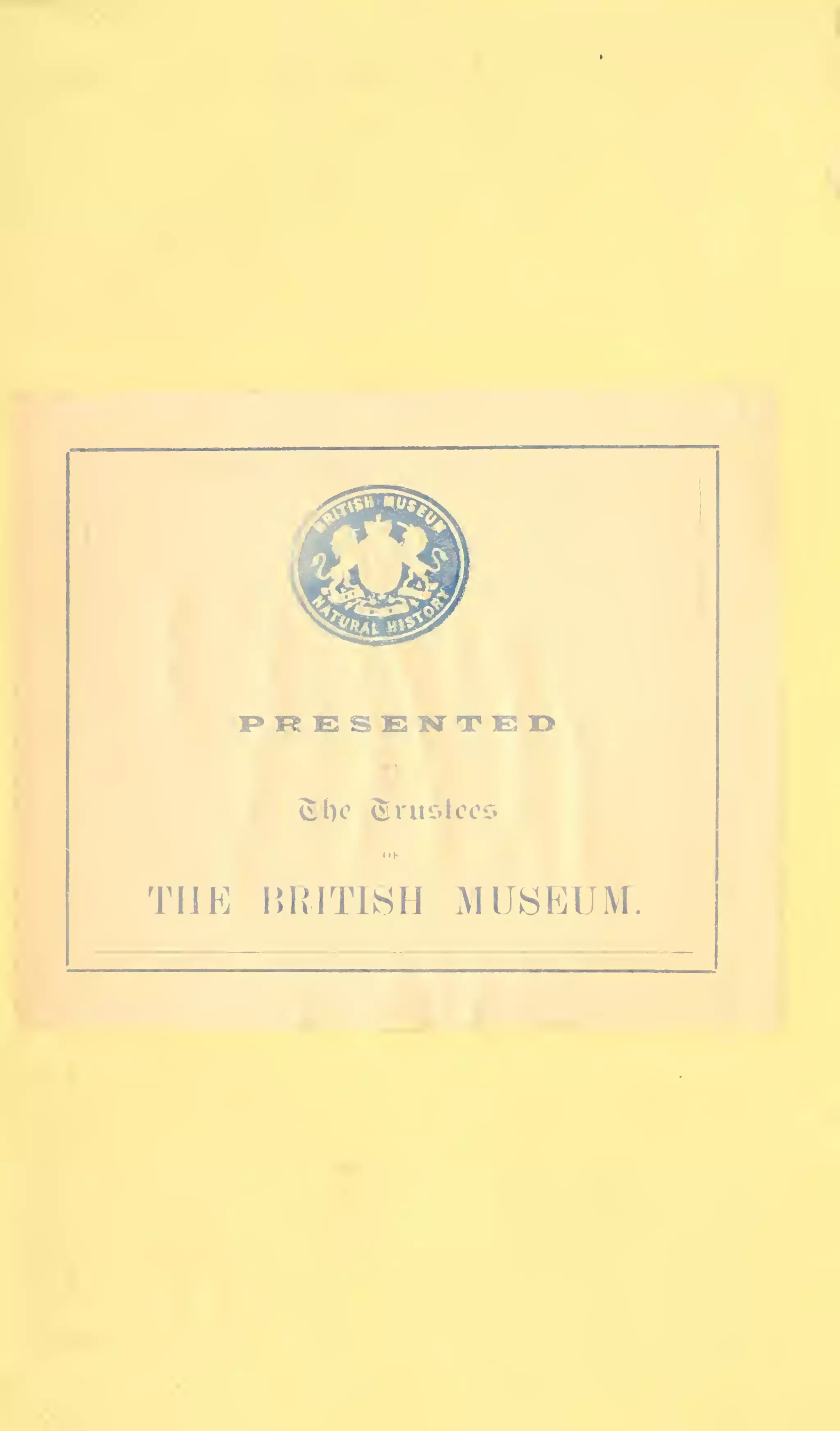 Spiders of burma | PDF