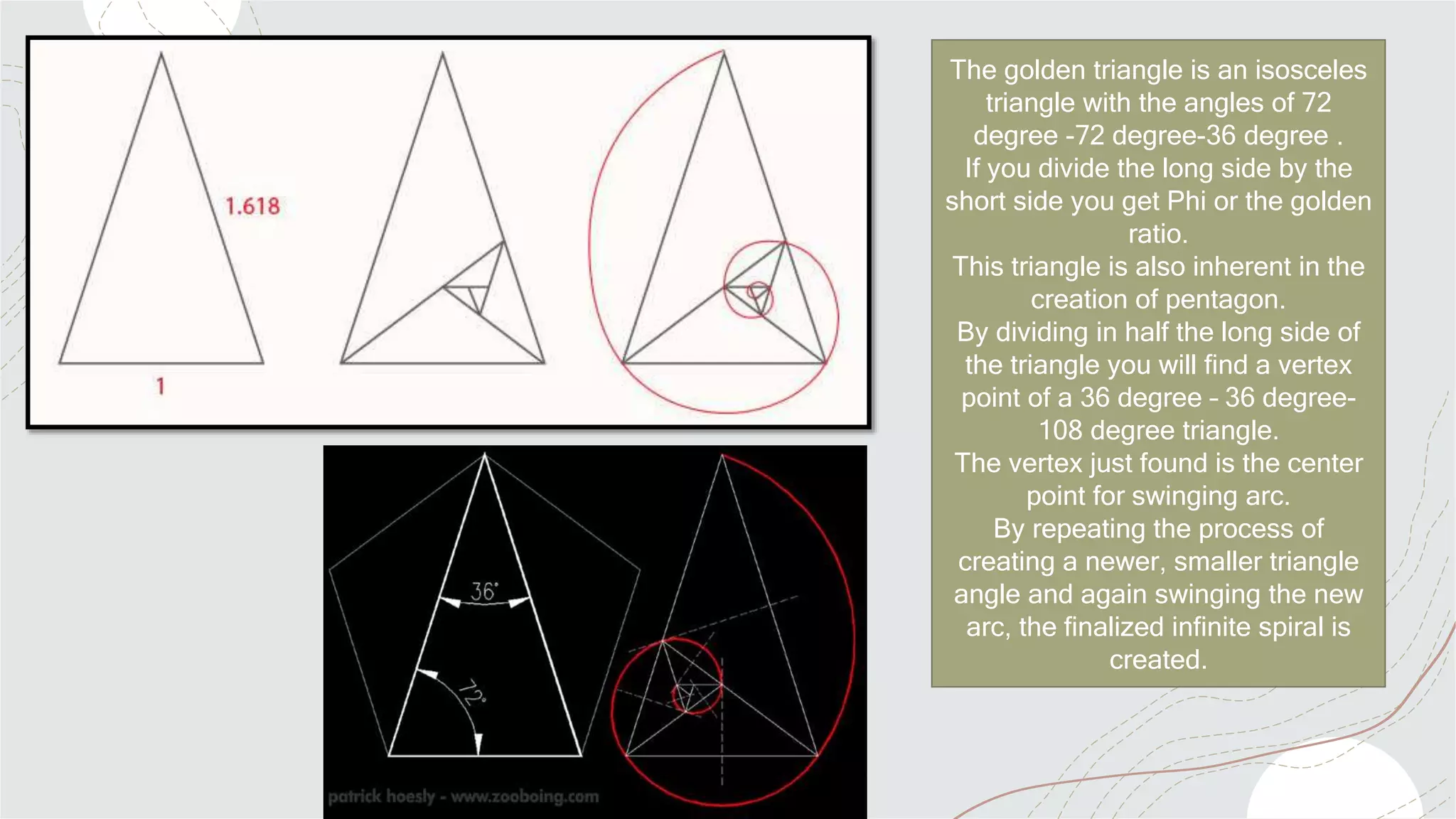 GEOMETRY IN SPIDERS WEB | PPTX