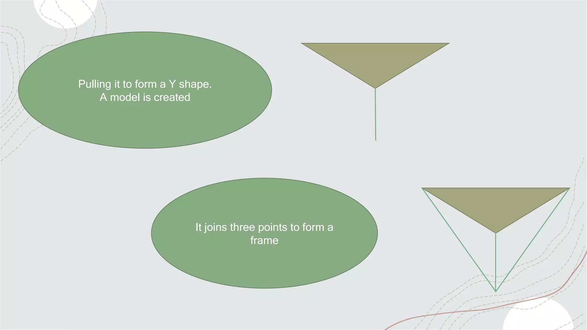 GEOMETRY IN SPIDERS WEB | PPTX
