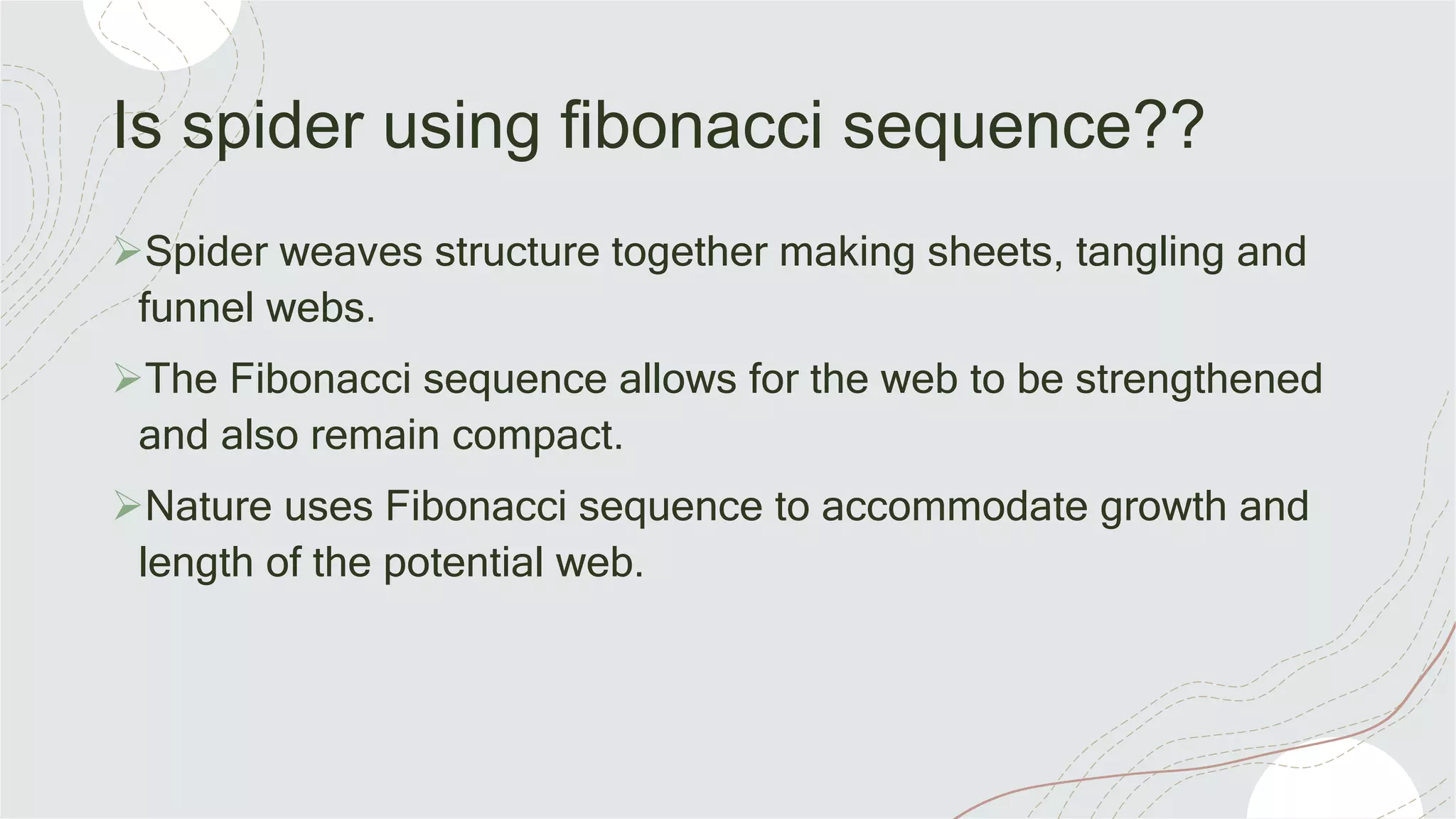 GEOMETRY IN SPIDERS WEB | PPTX