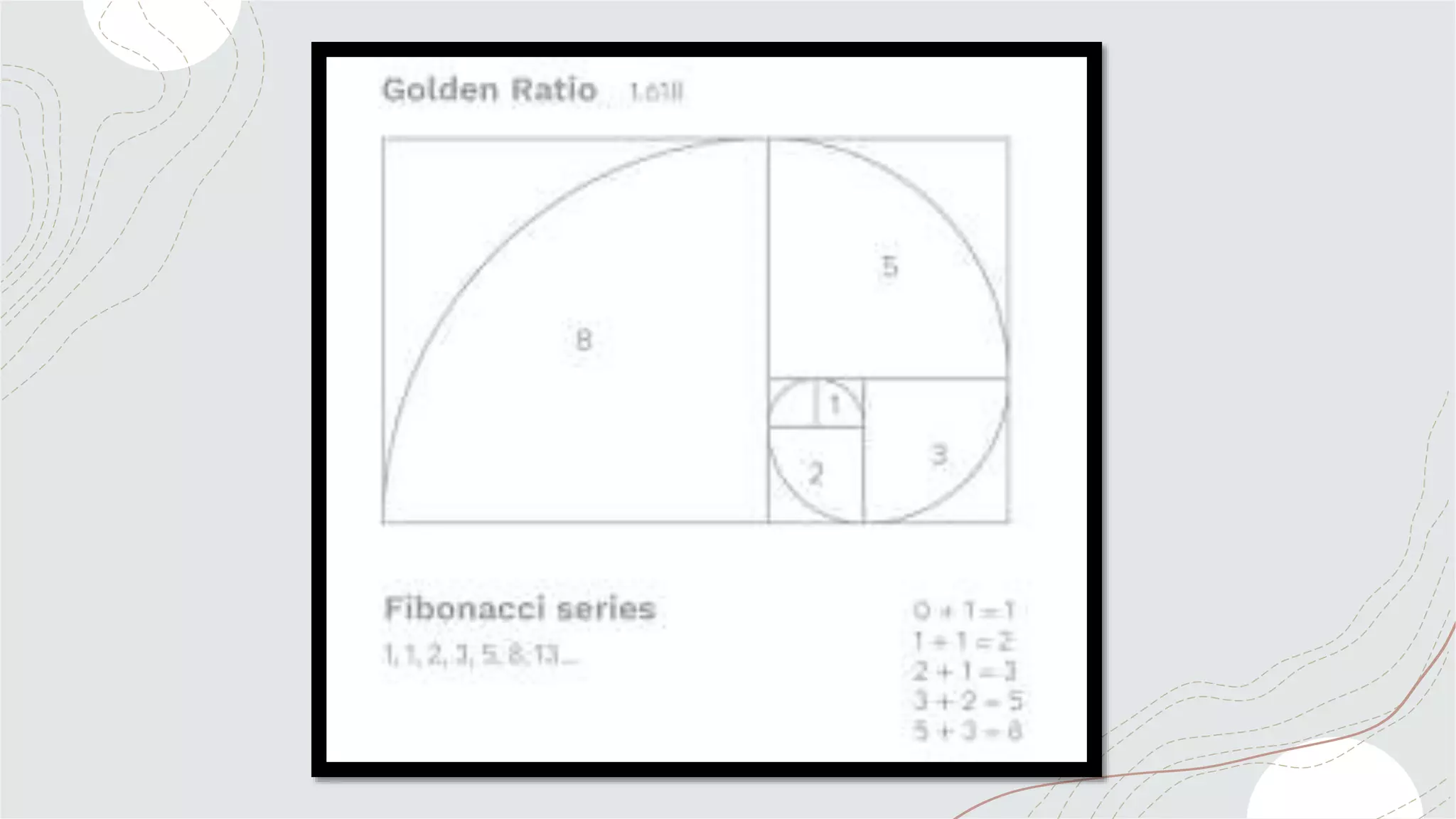 GEOMETRY IN SPIDERS WEB | PPTX
