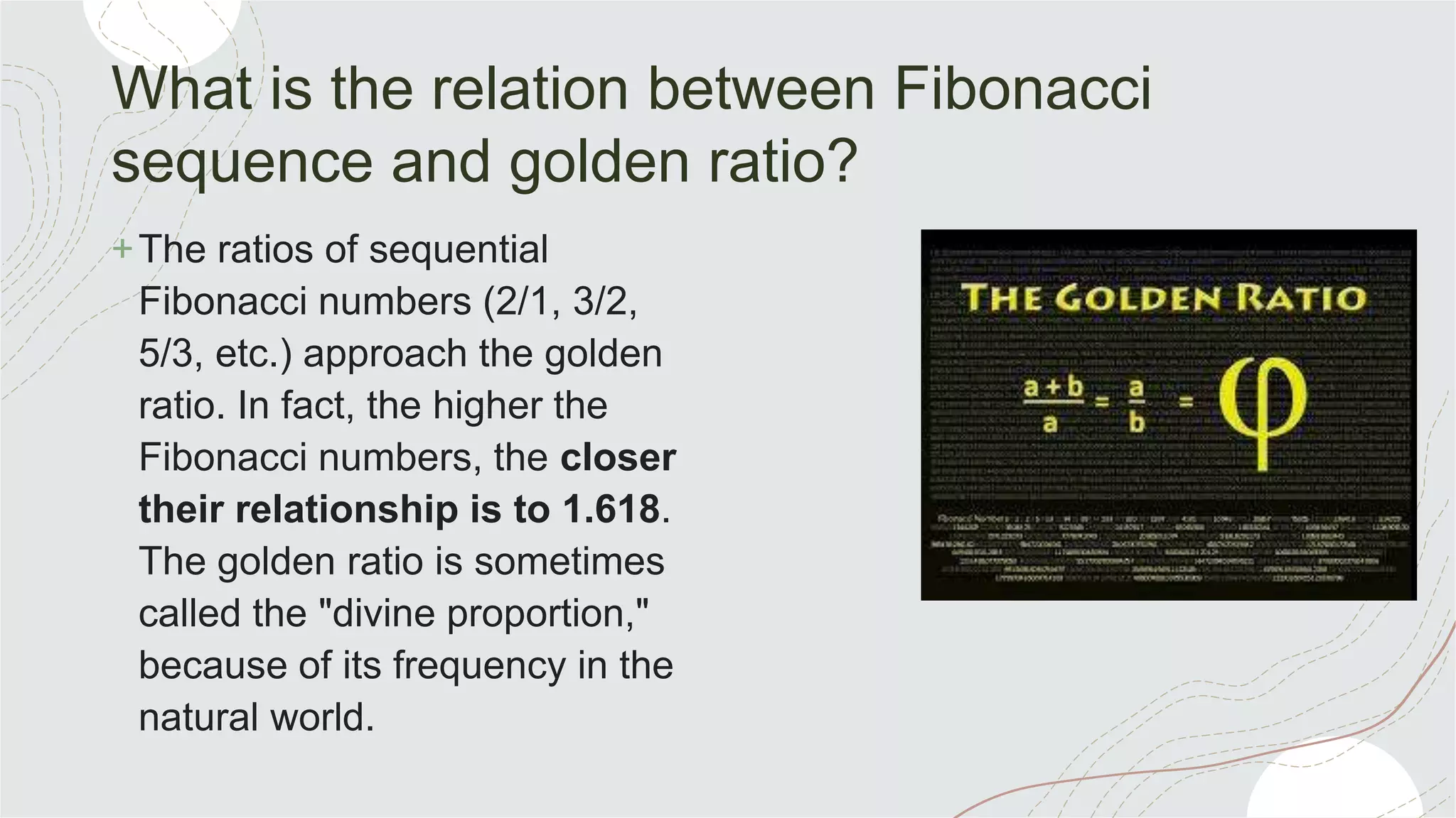 GEOMETRY IN SPIDERS WEB | PPTX