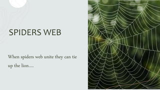 GEOMETRY IN SPIDERS WEB | PPTX