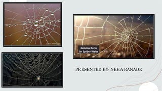GEOMETRY IN SPIDERS WEB | PPTX