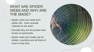 GEOMETRY IN SPIDERS WEB | PPTX