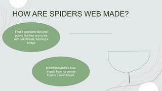 GEOMETRY IN SPIDERS WEB | PPTX