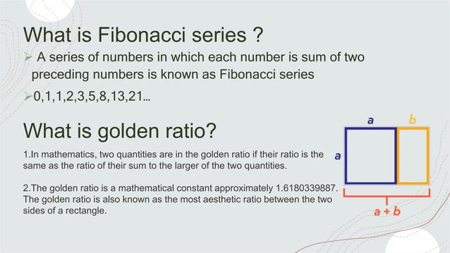 GEOMETRY IN SPIDERS WEB | PPTX