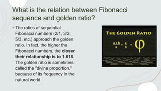 GEOMETRY IN SPIDERS WEB | PPTX