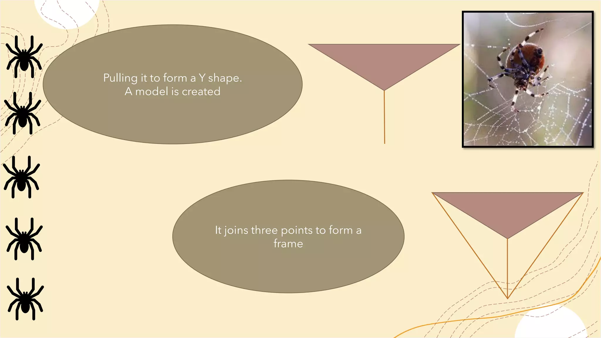 SPIDERS WEB.pdf edited.pdf