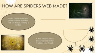 SPIDERS WEB.pdf edited.pdf