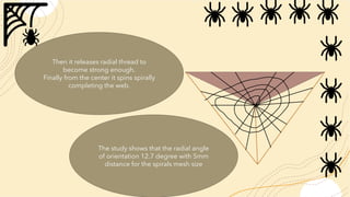 SPIDERS WEB.pdf edited.pdf