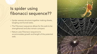 SPIDERS WEB.pdf edited.pdf