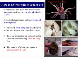 Spider venom credit seminar | PPTX