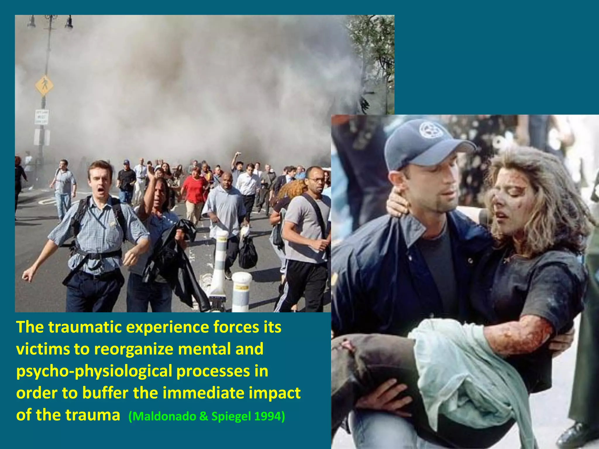 Memory and Personal Identity: The Minds/Body Problem by David Spiegel ...