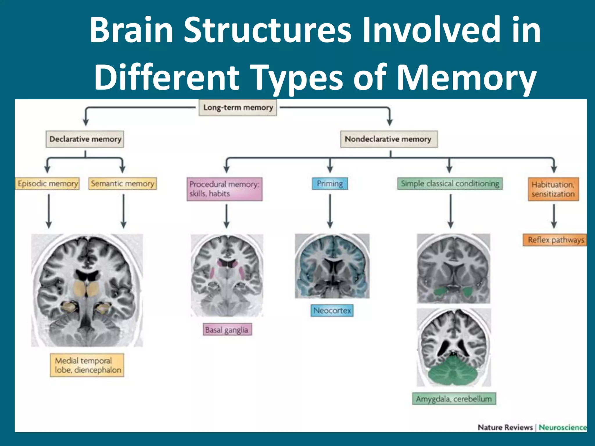 Memory and Personal Identity: The Minds/Body Problem by David Spiegel ...