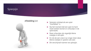 Spieren en pezen | PPTX | Brain and Nervous System Disorders | Diseases ...
