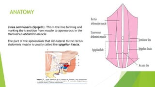 Spigelean hernia | PPTX