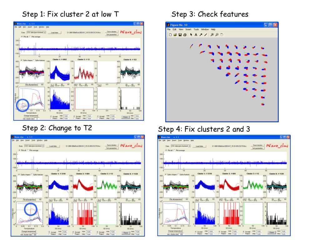 Spike sorting-tutorial