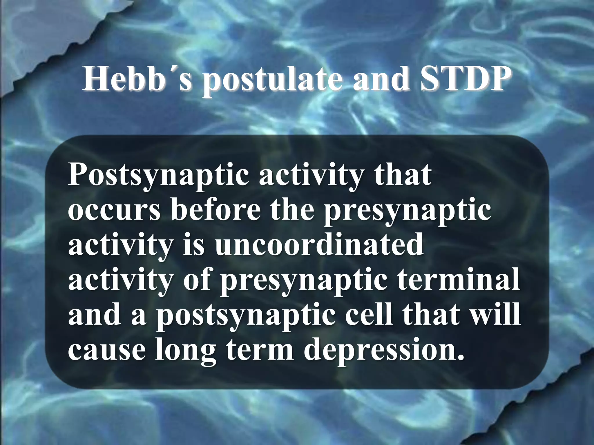 Spike timing dependent plasticity | PPSX