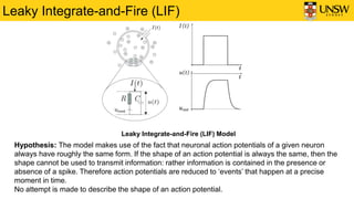 Spiking neural network: an introduction I | PPTX | Physics | Science