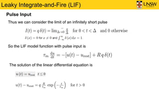 Spiking neural network: an introduction I | PPTX | Physics | Science