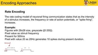 Spiking neural network: an introduction I | PPTX | Physics | Science