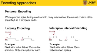 Spiking neural network: an introduction I | PPTX | Physics | Science