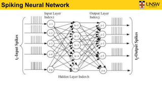 Spiking neural network: an introduction I | PPTX | Physics | Science