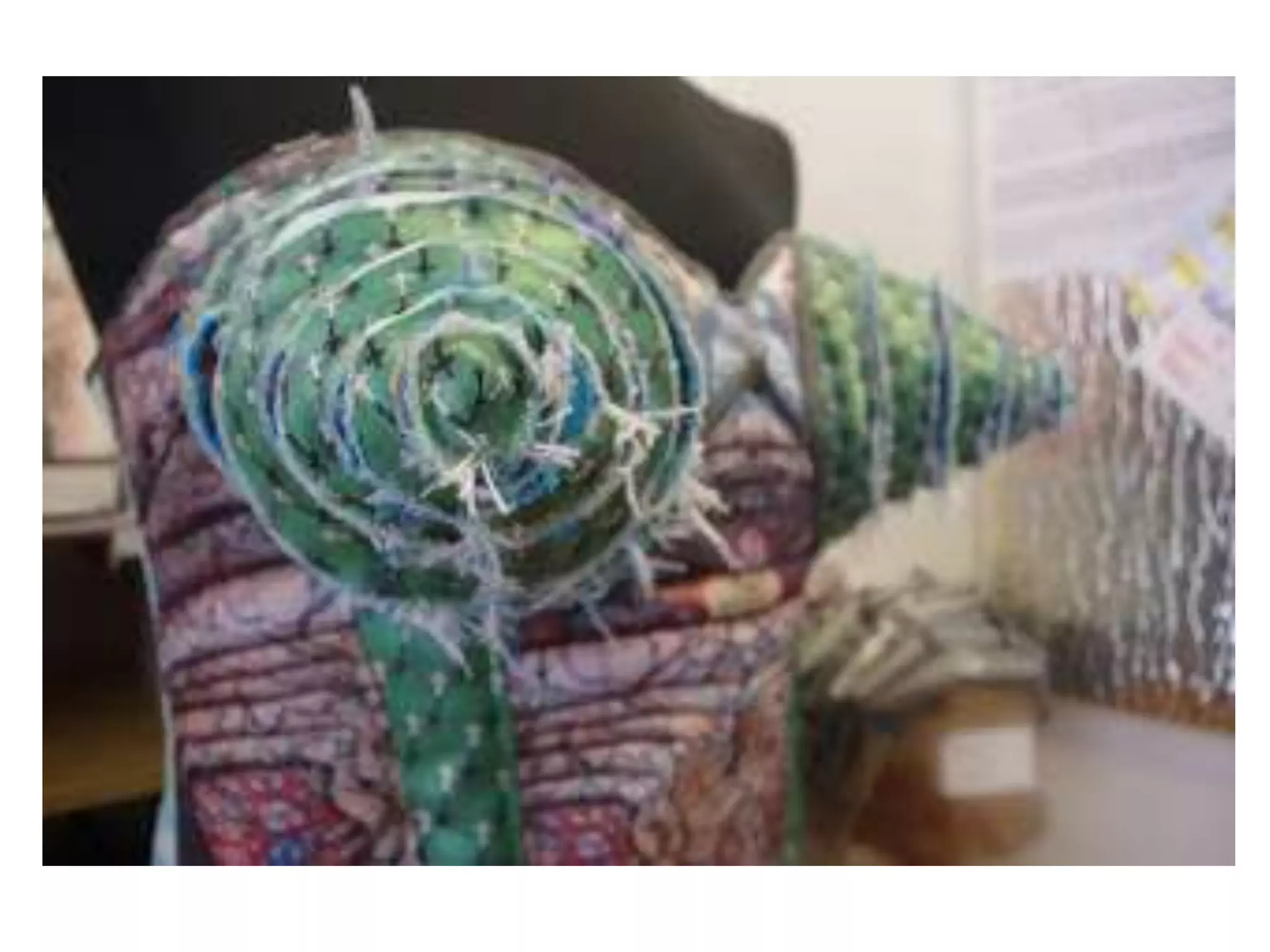 Spiky and soft | PPTX