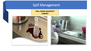 Spill Management Chemical Hygiene-FINAL PPT SAYAN2.pptx