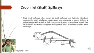 "Exploring the Essential Functions and Design Considerations of ...