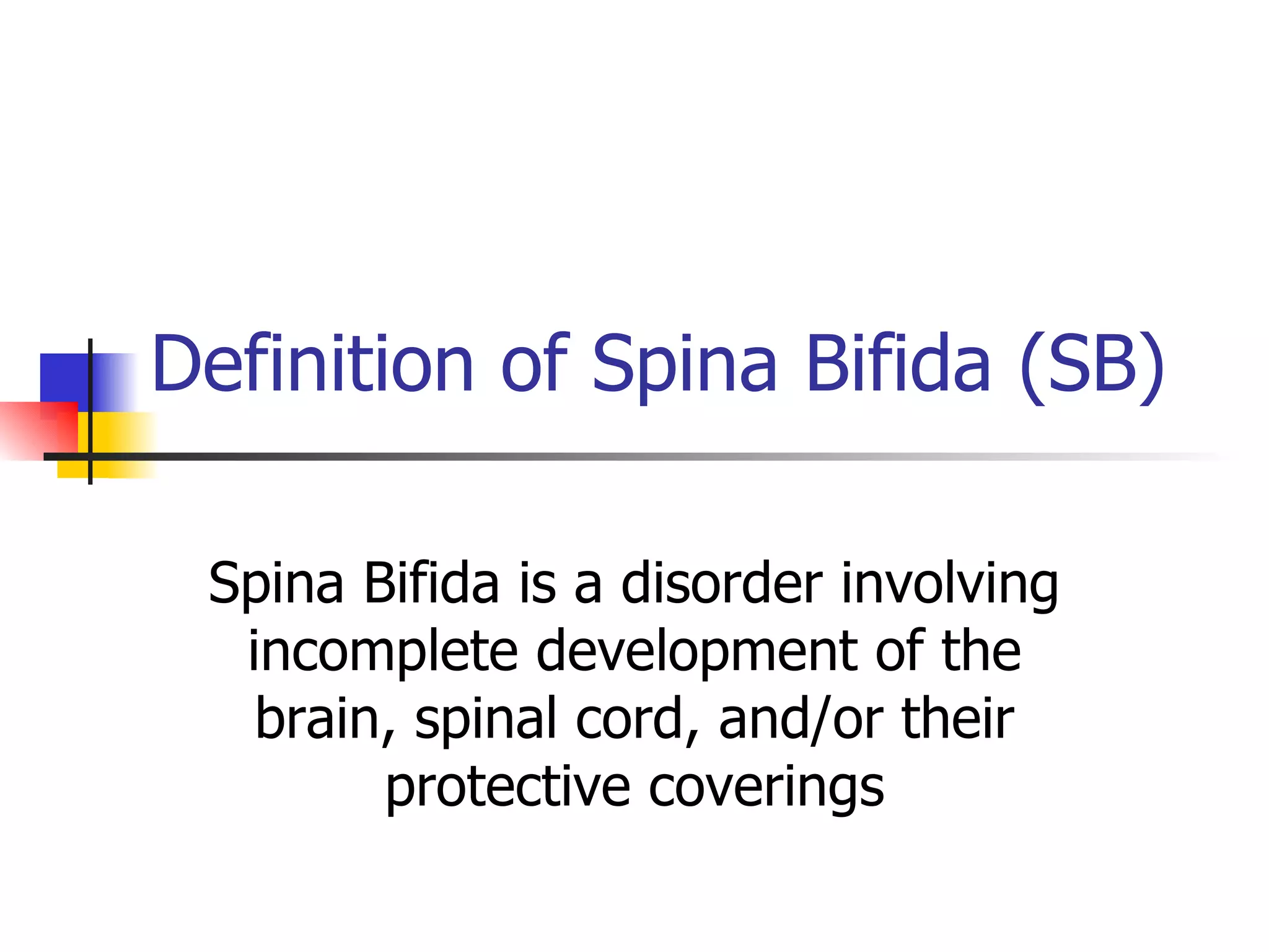 Spina Bifida | PPT